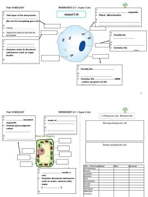 2 1 cell structures pdf cell biology prokaryote