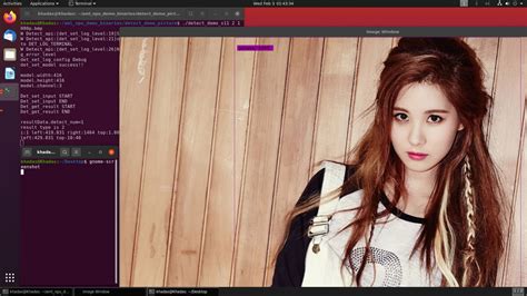 Npu Prebuilt Demo Usage Khadas Docs