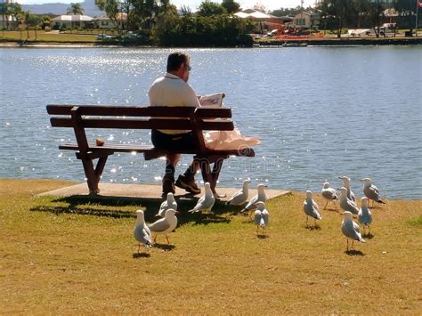 Woman And Trees Stock Image Image Of Gree Green Spring 1213