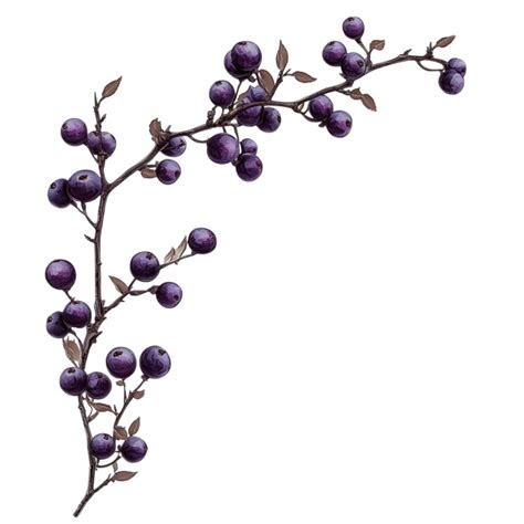 Cluster Of Purple Berries 55520945 Png