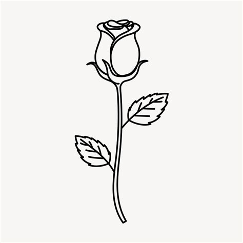 Rose Doodle Collage Element Cute Premium Vector Illustration Rawpixel