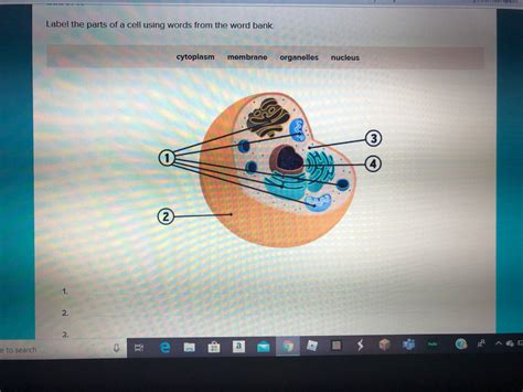 Structure Of Cell Part 3 Pass Science Solutions