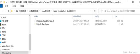 K210 人脸检测k210如何在flash中运行模型 Csdn博客