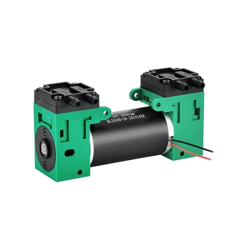 2 헤드 마이크로 진공 펌프 12 볼트 음압 전기 미니 공기 펌프 24v 소형 공기 압축기 브러시리스 압력pump 12micro Vacuumnegative