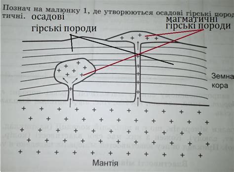 Позначтна малюнку де утворюються осадові гірські породи а де магма тичні Школьные Знания Com