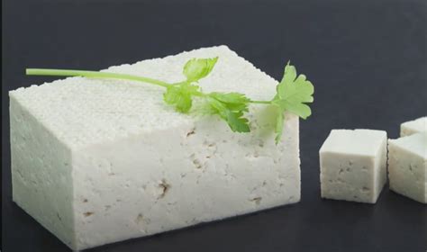 Soybean Cultivation For Tofu Legumehub Eu