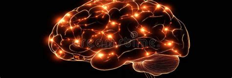 Exploration Of Brain Functions Illustrated With Glowing Neuron Pathways And Electrical Activity