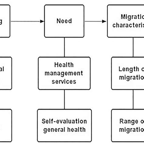 The Simplified Anderson Health Service Utilization Model The