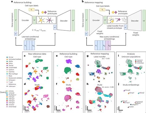 interpreting large scale medical datasets generative model enables