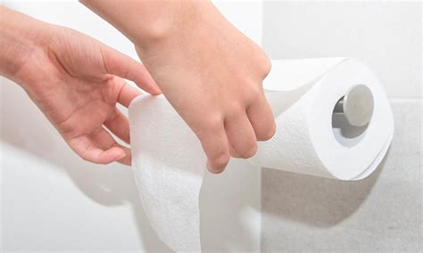 ¿cómo Colocar El Papel Higiénico Correctamente Para Evitar Bacterias