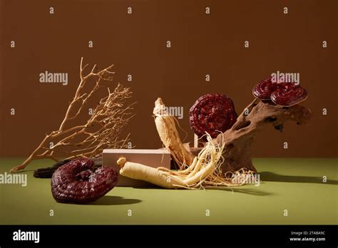 Concept For Advertising Product From Traditional Medicine At Korean Ganoderma Mushrooms And