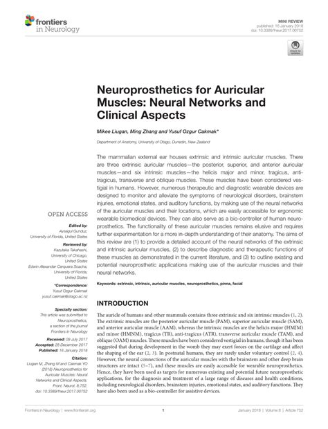 Pdf Neuroprosthetics For Auricular Muscles Neural Networks And Clinical Aspects Frontiers In