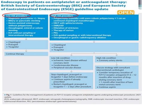 Indications Of Endoscopy By Prof Shaherapptx