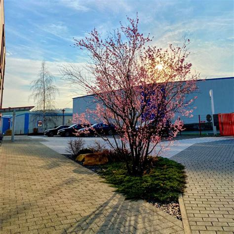 Andreas Gebauer Günther On Linkedin Spring Molds Germany Europe Asia Middleeast Americas