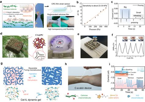 Cellulose‐based Flexible Sensors And Biomimetic Electronic Skin For The