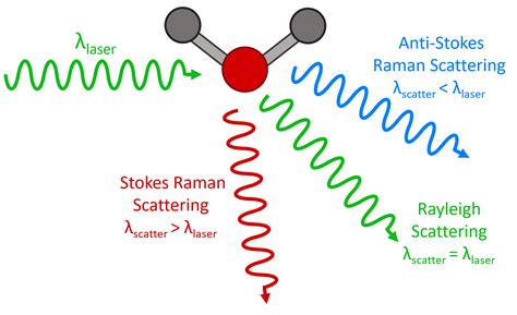 A Novel Technique For Raman Spectroscopy Of Live Proteins