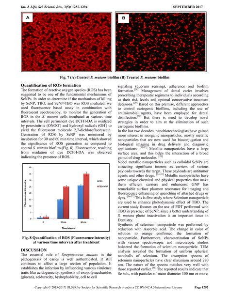 Selenium Nanoparticle Enhanced Photodynamic Therapy Against Biofilm Forming Streptococcus Mutans