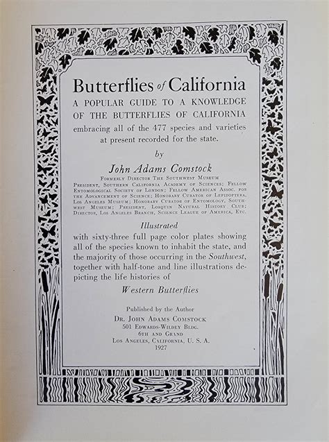 Butterflies Of California Bioquipbugs