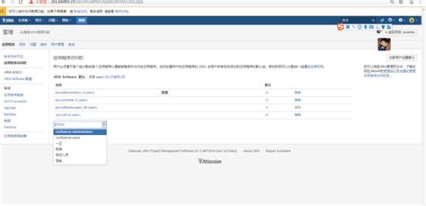 jira项目开发常用配置 jira 给项目组增加管理员用户 csdn博客
