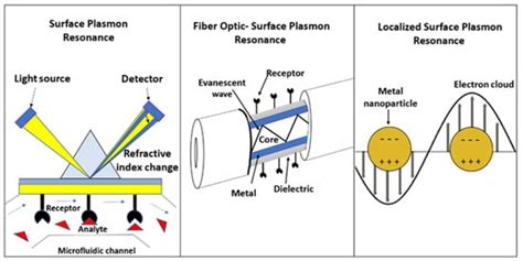optical sensors based on plasmonic techniques in aquaculture
