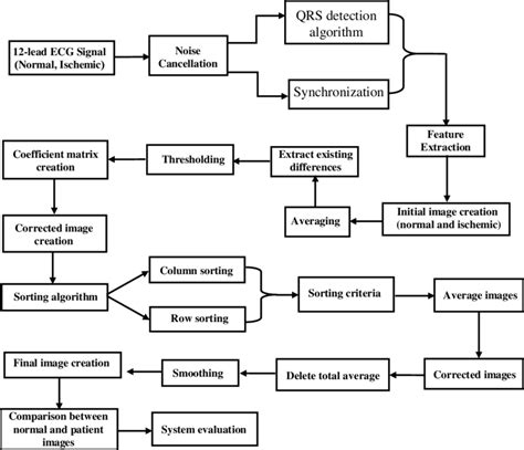 Block Diagram Of Ecg Machine With Explanation Solution Ecg