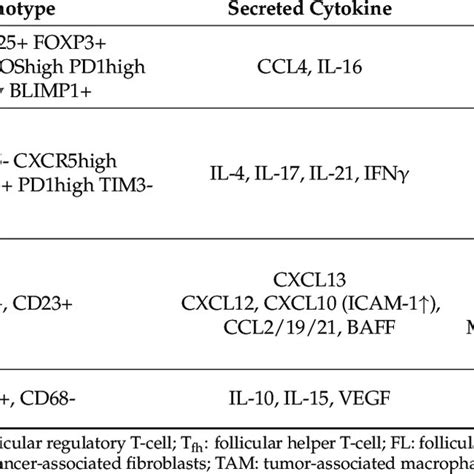 Main Cells Involved In The Tumor Microenvironment Of Follicular Lymphoma Download Scientific
