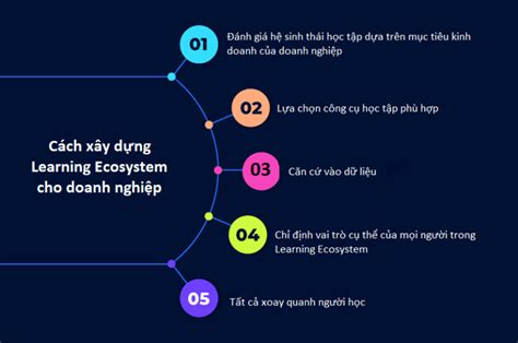 Learning Ecosystem Thành Phần Chính Và Cách Xây Dựng Cho Doanh Nghiệp