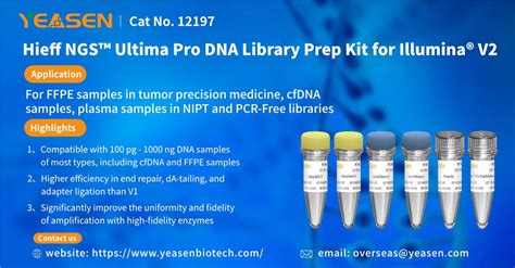 Yeasen Biotechnology On Linkedin Yeasen Ngs Dna Kit Ffpe Nipt Enzymes Enzyme Biotech Pcr…