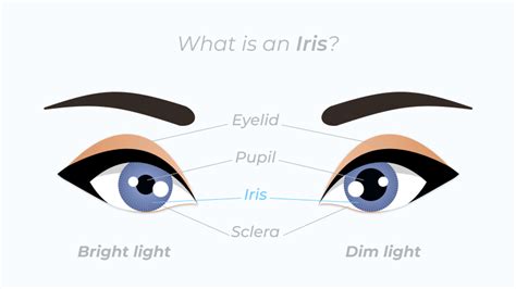 why is iris recognition the future of access control systems