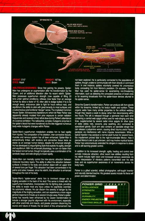 Marvel Are The Organs With Which Spider Man Secretes Organic Webbing Ever Shown Science