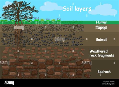 Soil Layers Diagram
