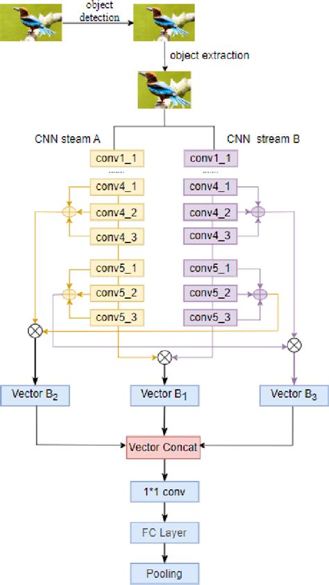 figure 3 from a fine grained image classification method combining