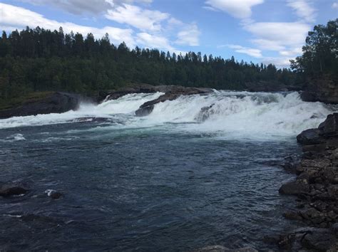 2025年12月malselv Municipality旅游景点攻略 Malselv Municipality旅游住宿 Malselv Municipality旅游美食 猫途鹰