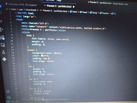 praveen s on linkedin portfoliowebsite webdevelopment html
