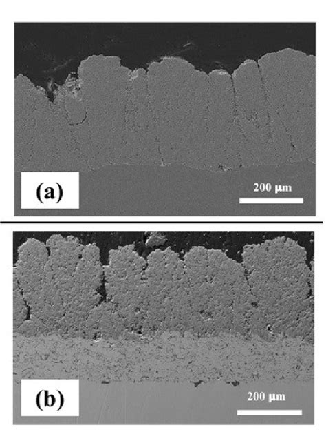 Cross Sectional Sem Micrographs And Their Relevant Surface Profiles Download Scientific Diagram