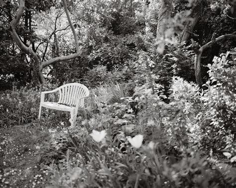 Dewi Lewis Publishing Pictures From The Garden The Eye Of