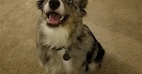 Jasper Album On Imgur