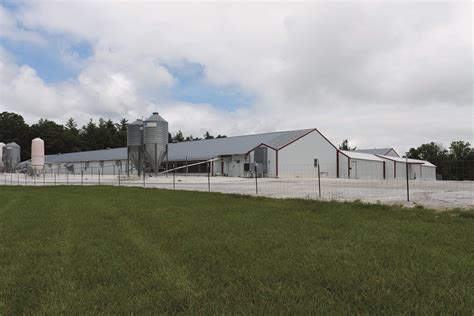 Biosecurity Reminder After Several New Cases Of Non Notifiable Avian