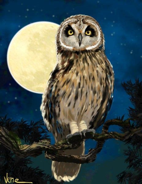 26 Best Images About Pueo Hawaiian Owl On Pinterest Watercolors