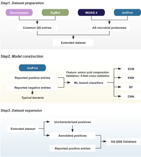 Constructions Of Quorum Sensing Signaling Netwo