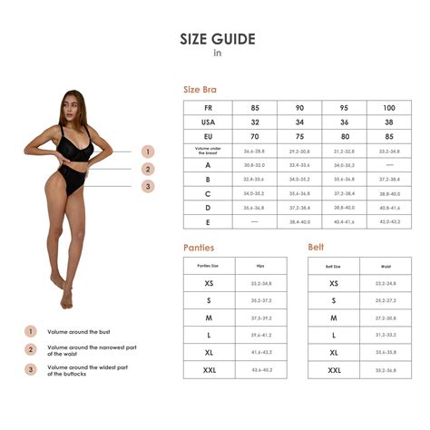 Mesh Lingerie Set Erotic Lingerie Plus Size Sheer Erotic Lingerie Sheer Mesh Lingerie Sexy