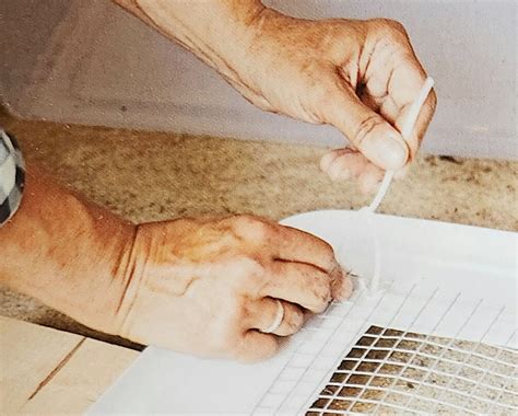 Simple Diy Tote Brooder Box For Chicks Fresh Eggs Daily® Lisa Steele