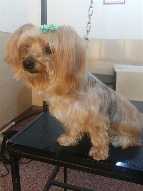 Cocket Cocket Added A New Photo