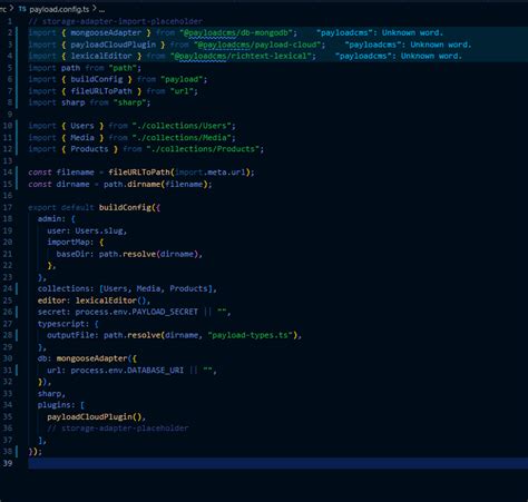 Nextjs Whenever I Am Trying To Run Payload Generatetypes I Get The Error Cannot Find Users
