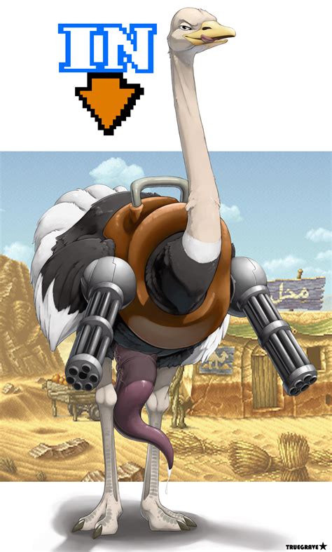 Rule 34 2024 Animal Genitalia Animal Penis Avian Avian Feet Beak Big