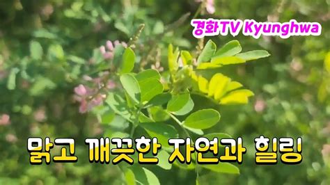 공기 맑고 깨끗한 자연의 소리 힐링 Youtube