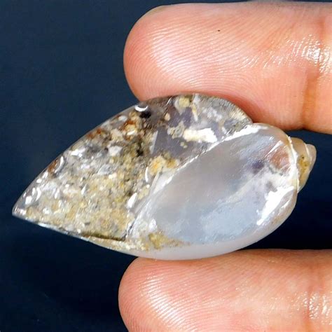 100 Natural Unique Fossil Snail Druzy Fancy Cabochon 52 85cts Loose