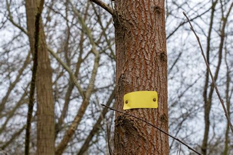 A Yellow Sign Is Attached To A Tree Stock Image Image Of Tourism