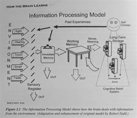The Information Processing Model On Emaze