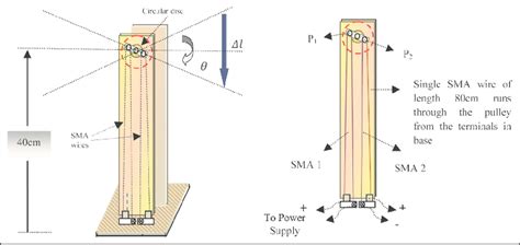 SMA Actuator Configuration Download Scientific Diagram
